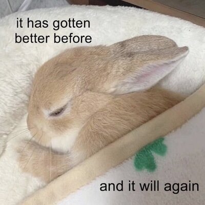 MrScrambled :verified:: "RS: The Bunny Hop Please support me at https ...