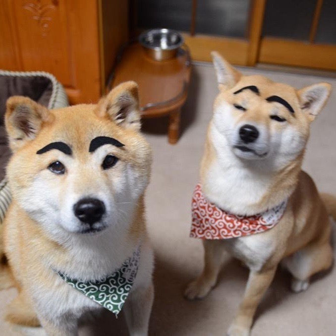 Jujunaught (@Jujunaught@baraag.net) - 🔞 baraag.net