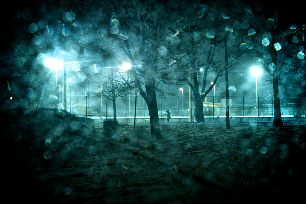 Digimon Hunter (@AzureNightGlow@baraag.net) - 🔞 baraag.net