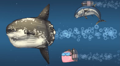 Porforever: "Some random animations I made" - 🔞 baraag.net