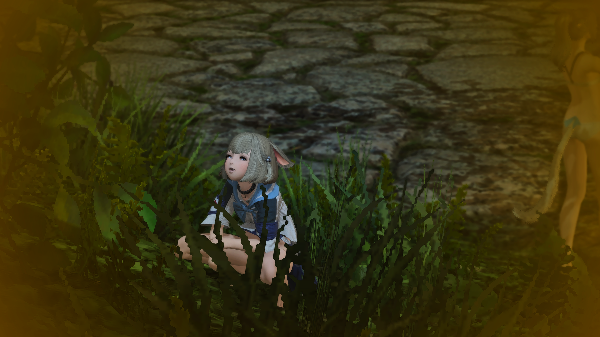 Rice Lord Sake: "(2/2) Fortunately, Zhloe knew exactly where the …" - 🔞 ...
