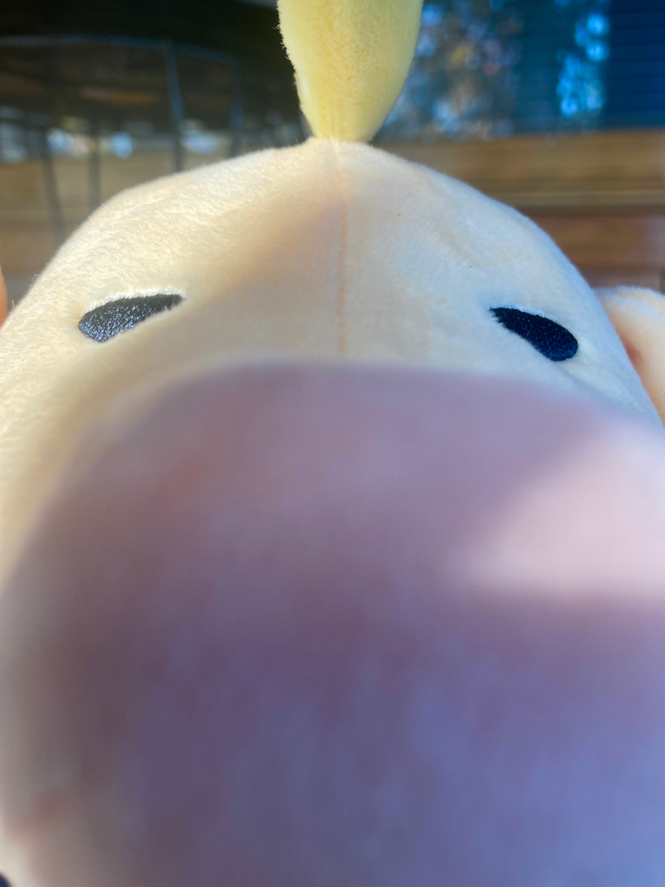 anomaly: "FINALLY GOT HIM 😭😭💙💙 i love you squigi tysm" - 🔞 baraag.net