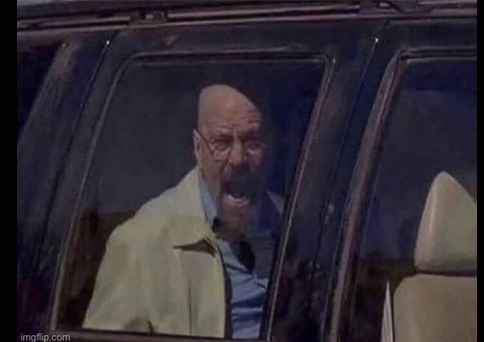 RayRay: "@Tetongu TETO THOSE ARE NOT CHICKENS! DONT EAT TH…" - 🔞 baraag.net