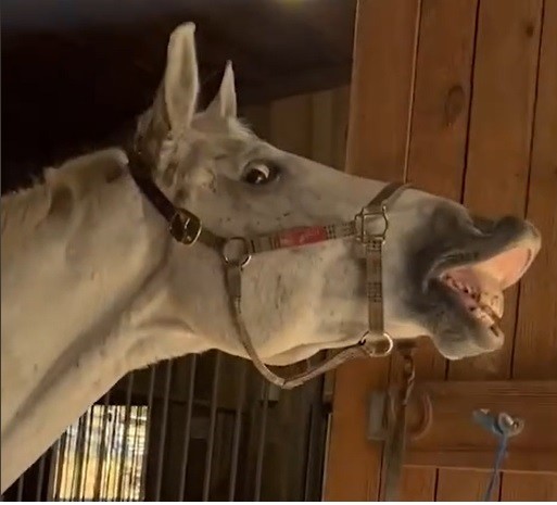 pickupandgo: "@Mr_E that expression lol." - 🔞 baraag.net