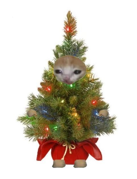 InvaderNos :steven_pun:: "Downtime Soon™ so MERRY EARLY CHRISTMAS ...